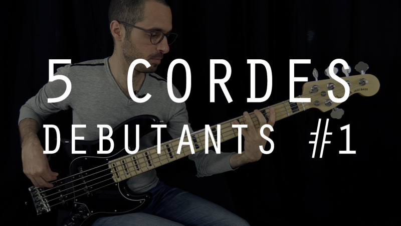 La Basse 5 Cordes Pour Débutants 1 • Tout Sur La Basse Avec Bruno Tauzin