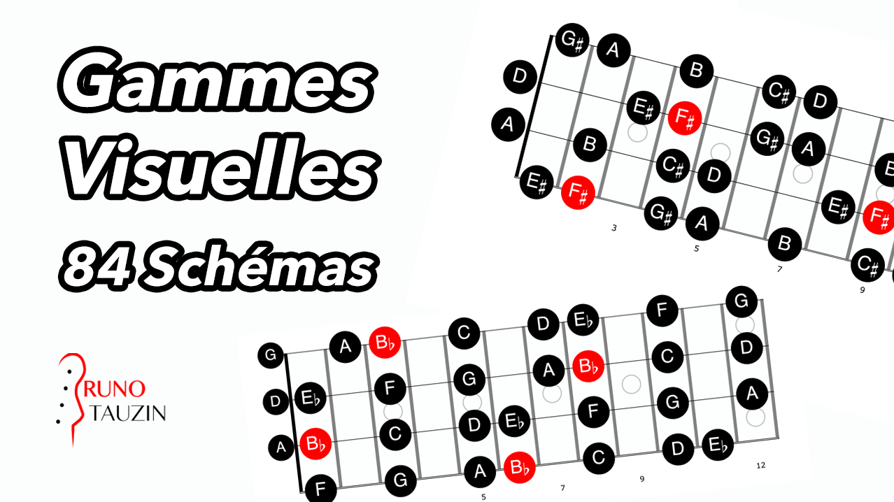Formations • Tout sur la Basse avec Bruno Tauzin