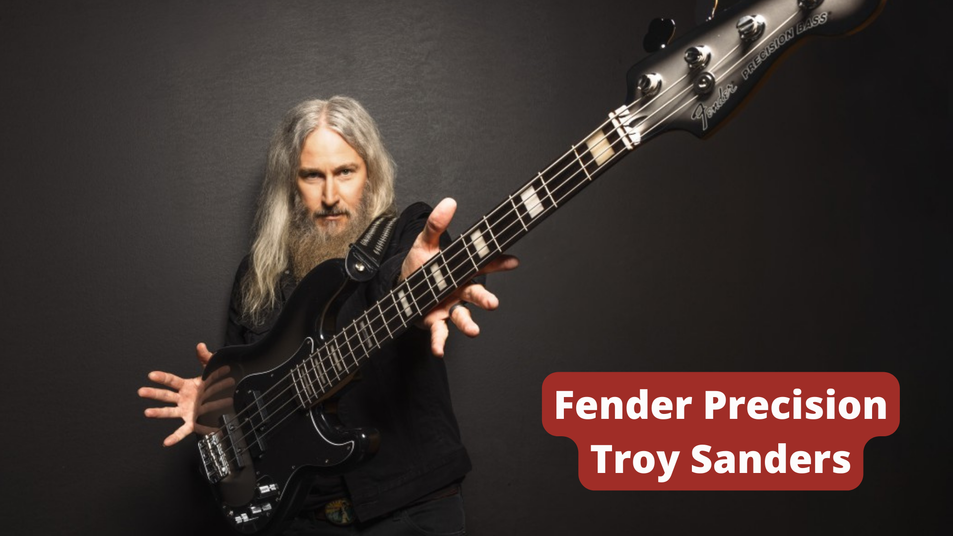 Fender Troy Sanders Precision Bass