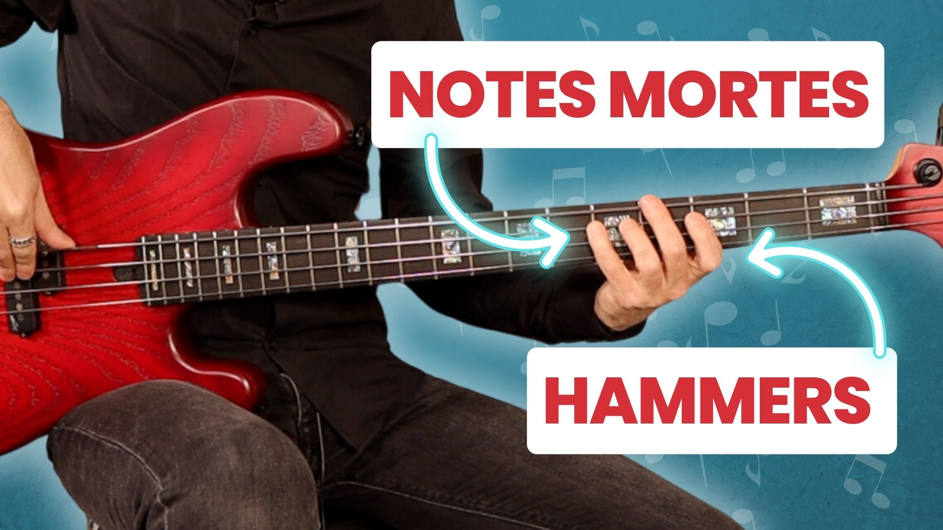 Accueil • Tout sur la Basse avec Bruno Tauzin