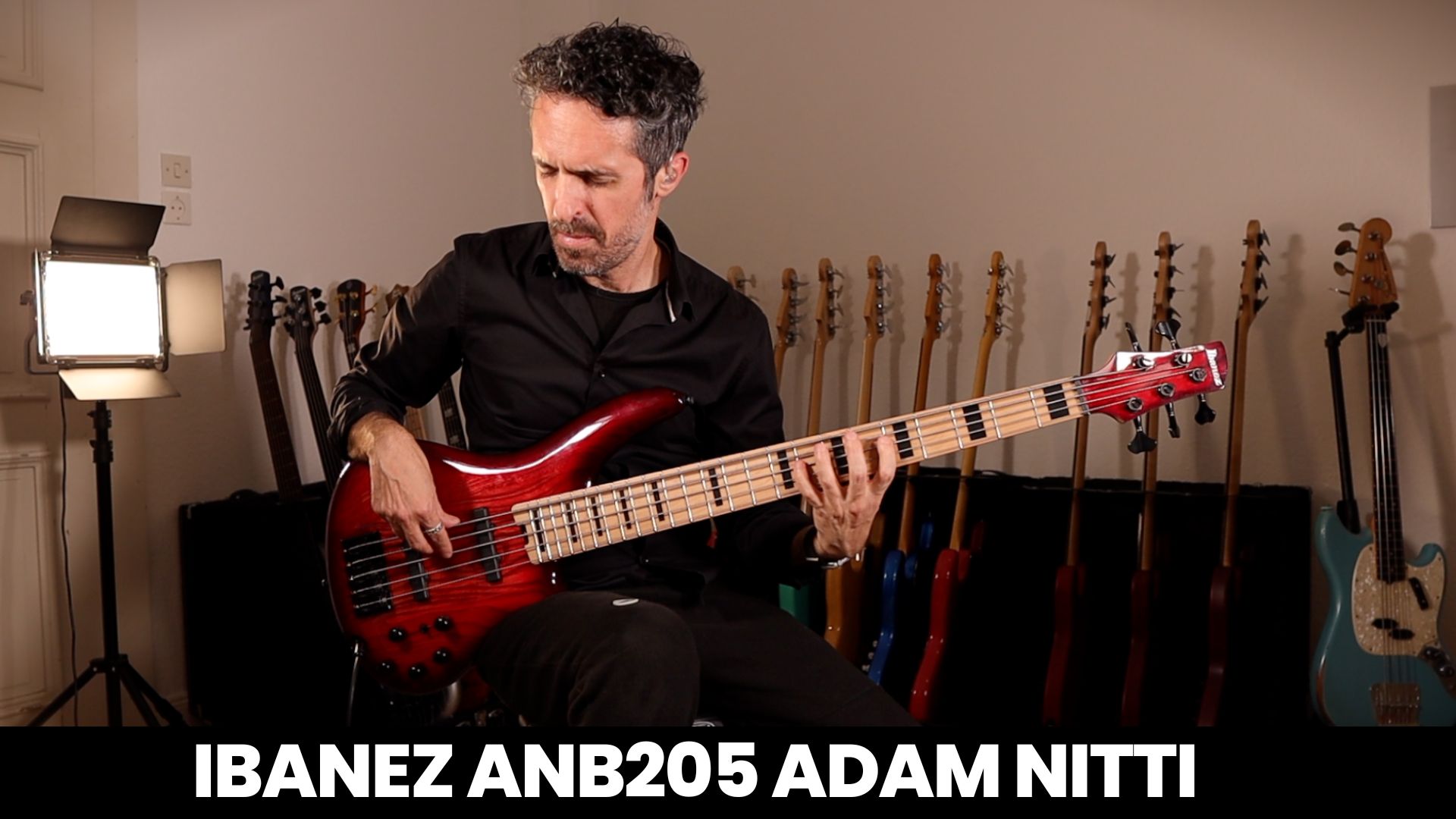 Ibanez ANB205 Adam Nitti - Jazz Bass 5 cordes avec du mordant